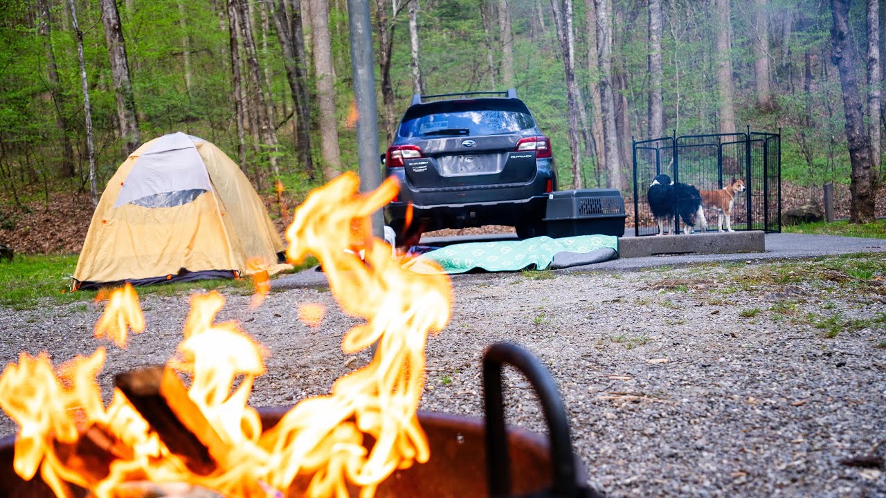 Exploring And Camping Great Smoky Mountain National Park! - YouTube