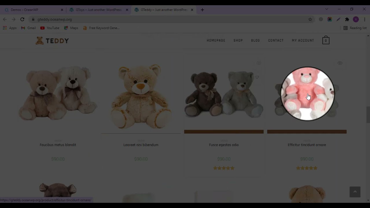Live Preview of Teddy Website and Landing Page Design - YouTube