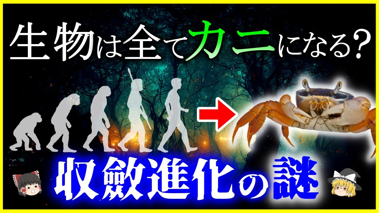 【ゆっくり解説】行き着く先はカニ⁉生物の「収斂進化」とは何か？を解説/収束進化とも呼ばれる進化の謎とcarcinisationとは - YouTube