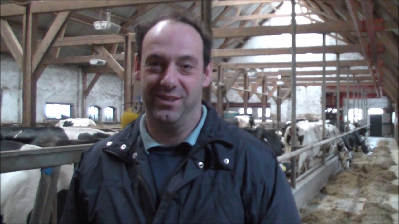 Peter Oerlemans melkveehouder in Halsteren - YouTube