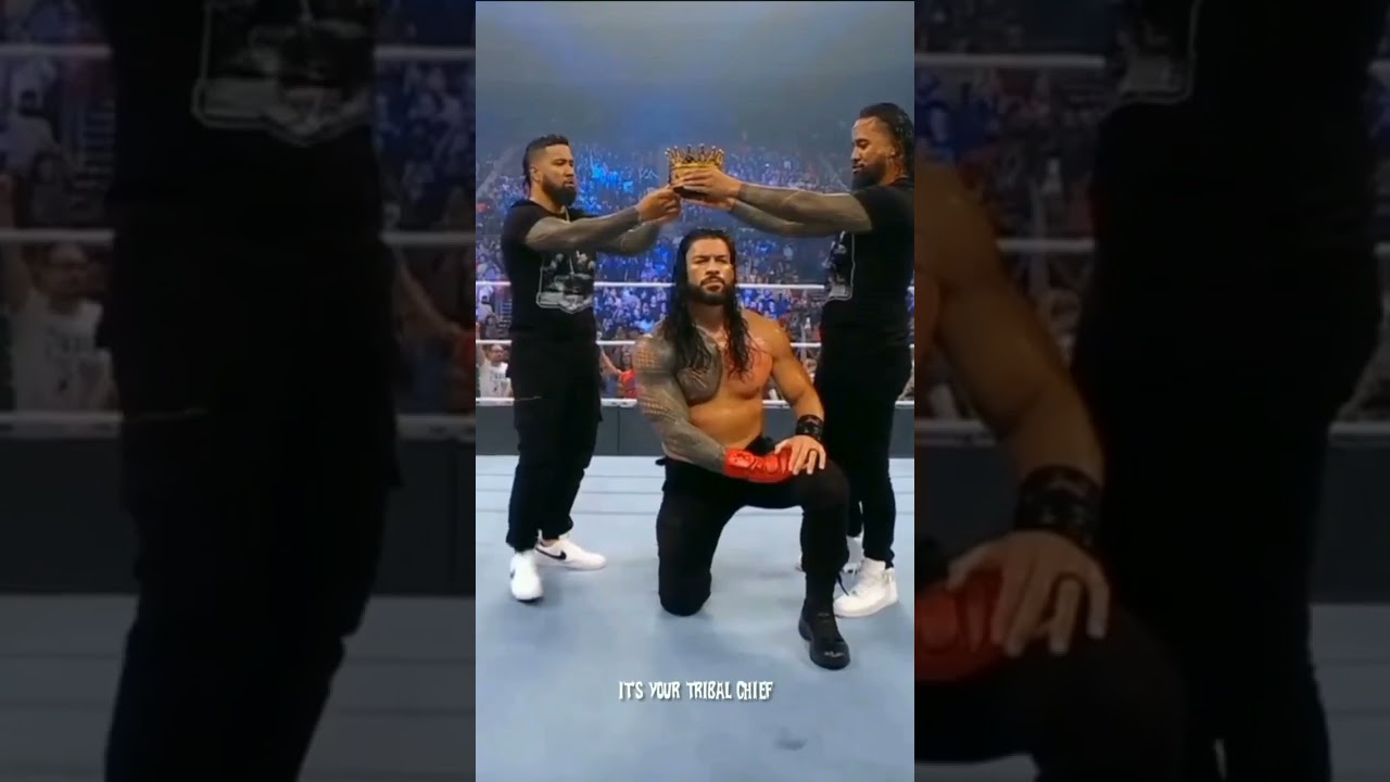 Tik tok song video hamara apna boxer Roman 5 king Ho Gaya - YouTube