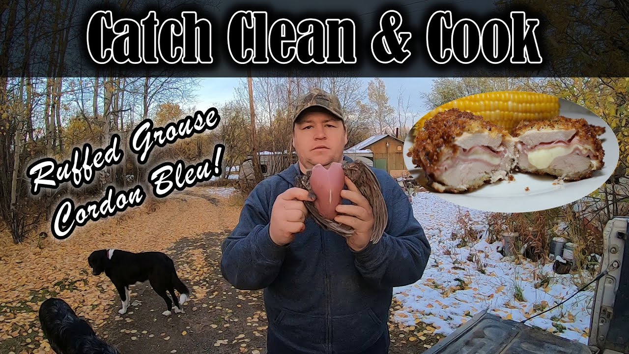 Ruffed Grouse Hunting - Chicken Cordon Bleu - Hunting Prairie Chickens ...