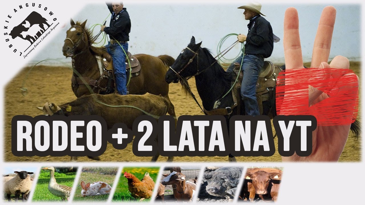 Lubuskie Angusowo - S2 E5 - Rodeo, 2 lata na YouTube i inne - YouTube