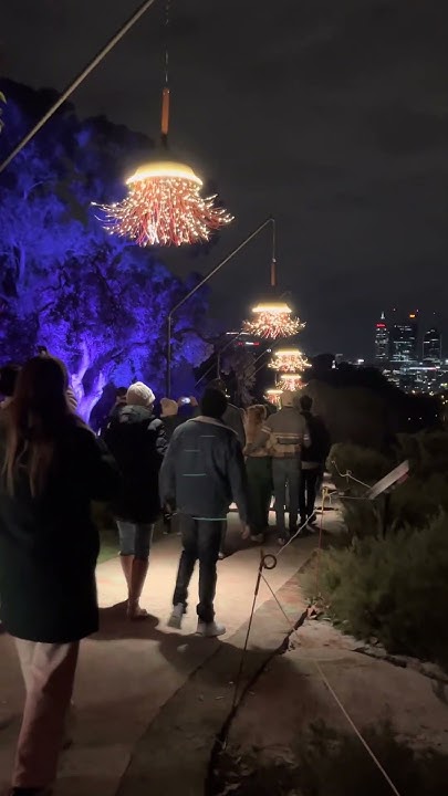 Lightscape at Kings Park. - YouTube