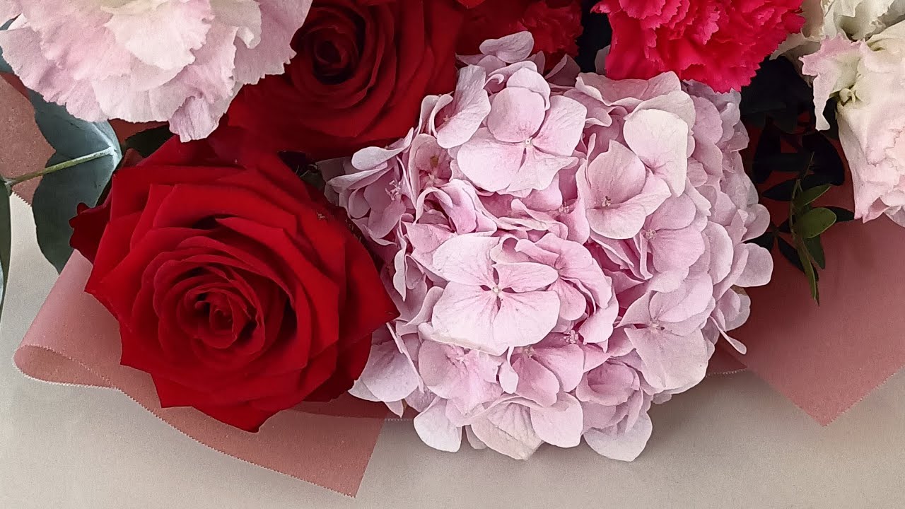 Wednesday Layb Layb || meniervz Day - YouTube