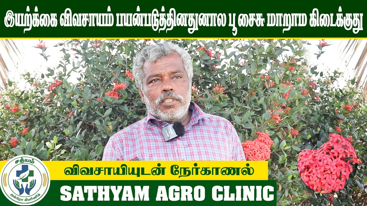 Farmer Interview l Flower Farming l Sathyam Agro Clinic - YouTube