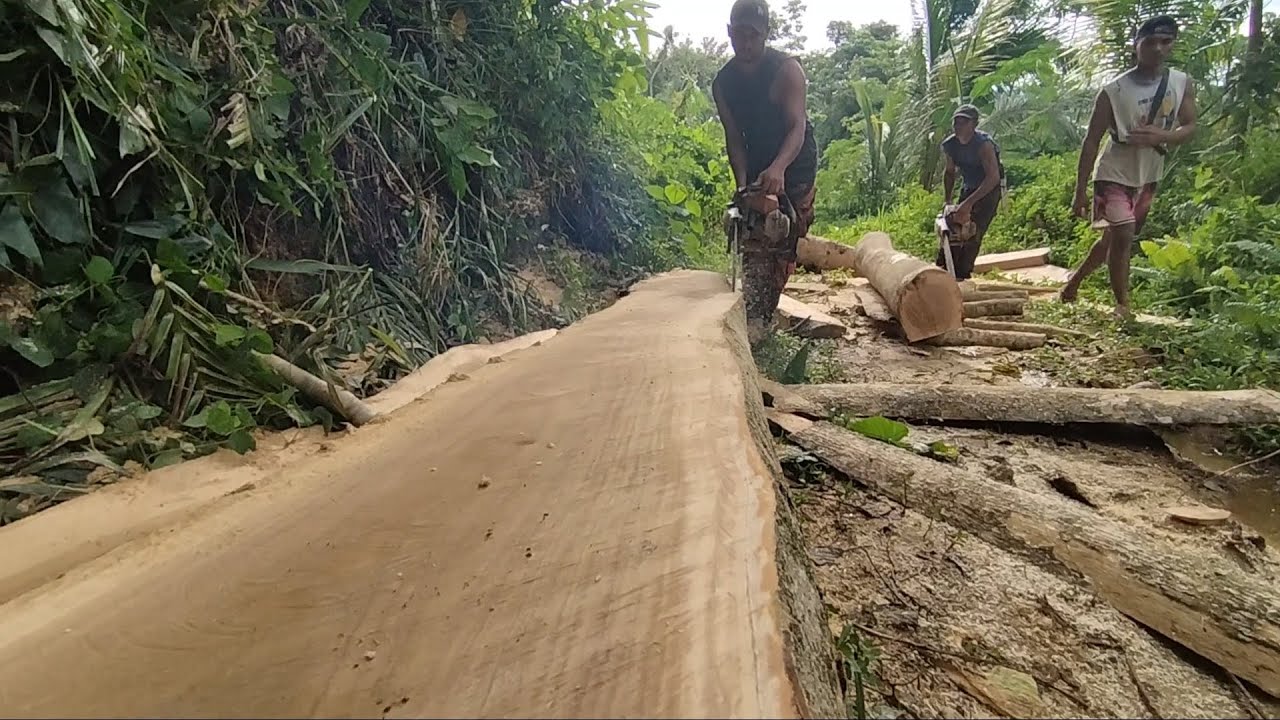 Only in Philippines||Chainsaw enthusiast breaks its limits//legendary ...