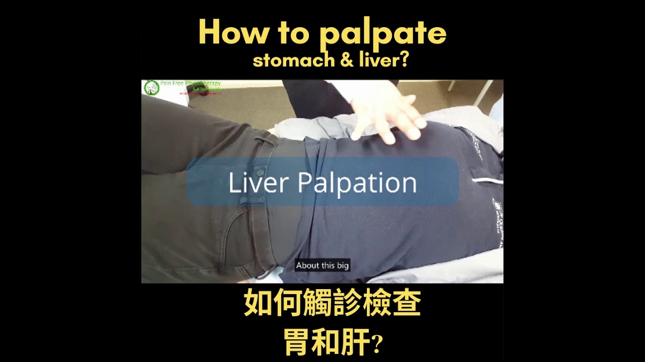 How to palpate the organs- Liver & Stomach? - YouTube