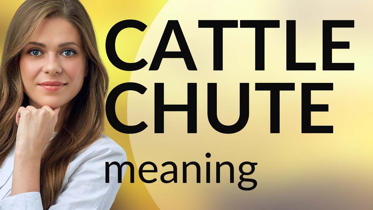 Understanding "Cattle Chute": An English Phrase Explained - YouTube