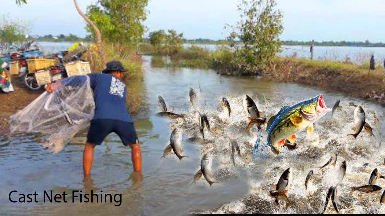 Unbelievable Cast Net Fishing In Flowing Water Catch Lot Of Fish - YouTube
