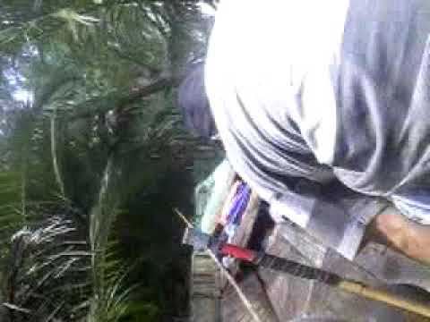 Menuju tmpt mancing .d sungai aluh -aluh kecil .banjarmasin