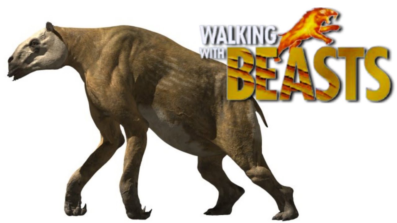 Walking With Beasts [2001] - Chalicotherium Screen Time - YouTube