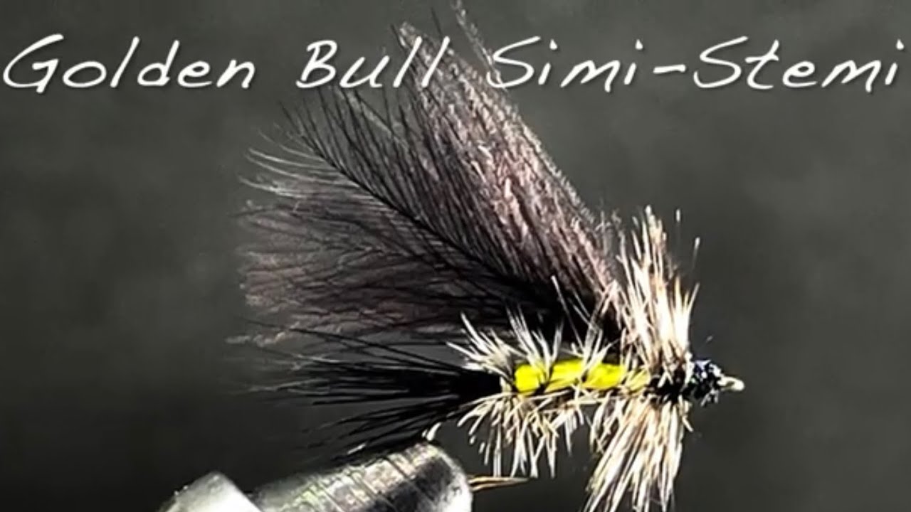 Tying A Golden Bull Simi-Stimi - YouTube