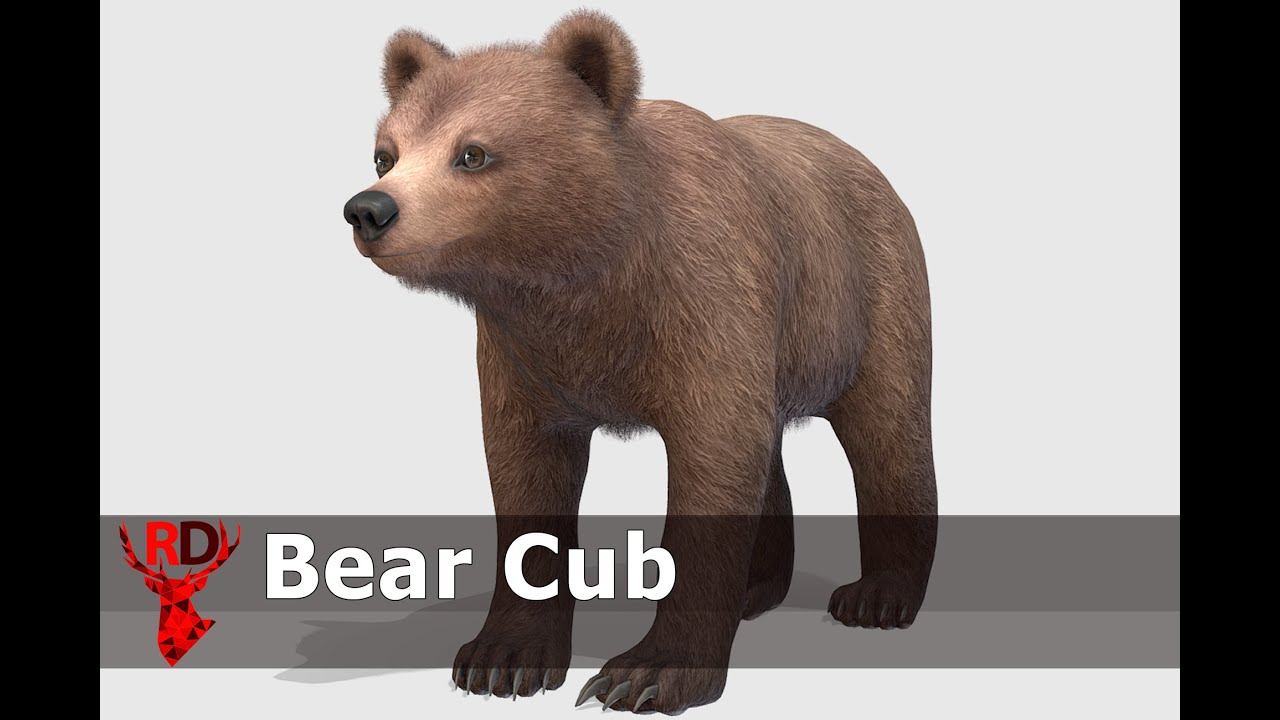 BearCub Animations - YouTube
