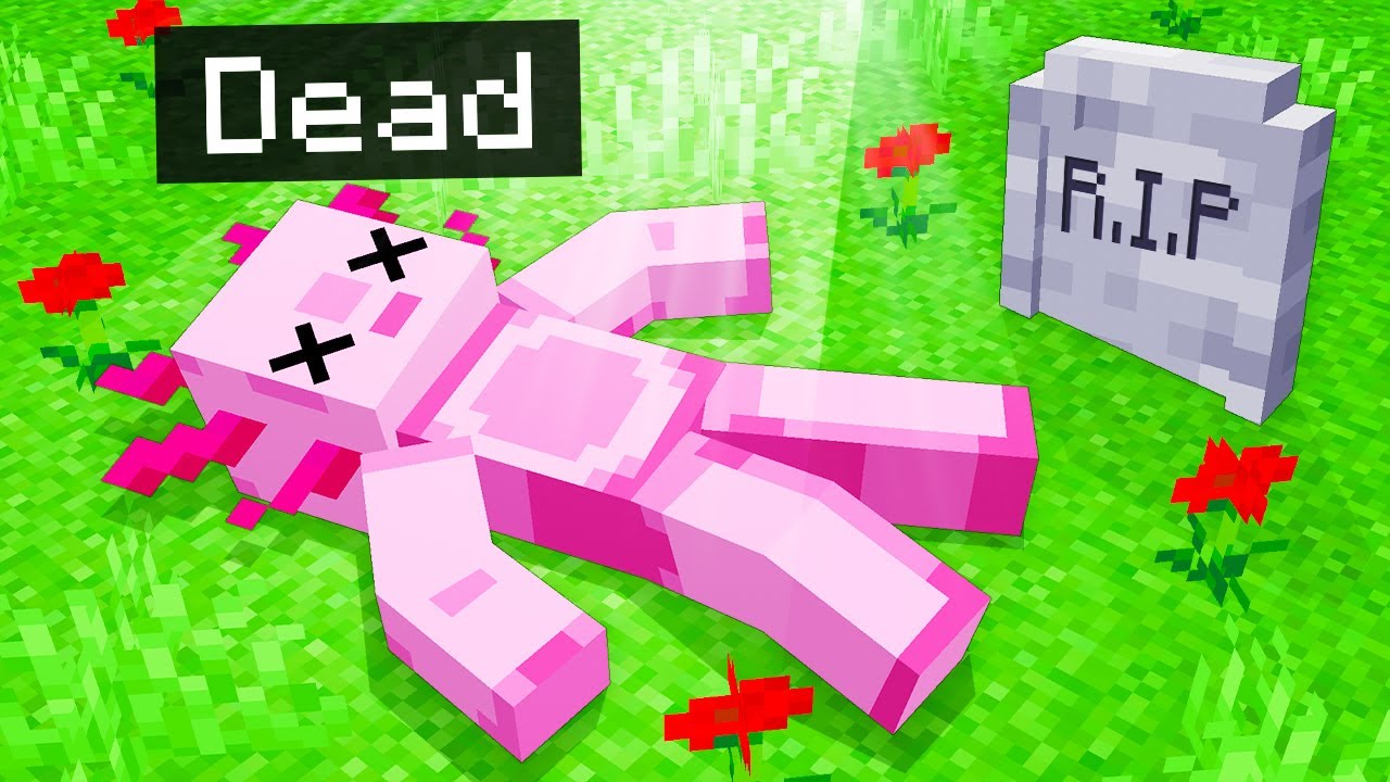AXY DIED In Minecraft! - YouTube