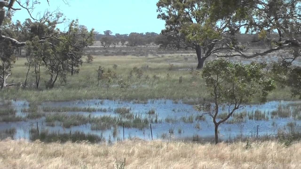 The Victorian Bush - its 'original and natural' condition - YouTube