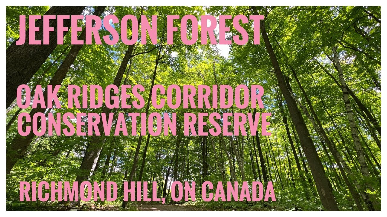 Jefferson Forest | Oak Ridges Corridor Conservation Reserve | Hiking ...