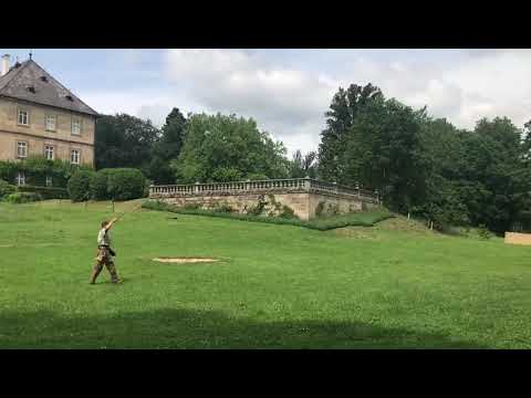 Federspieltraining mit Ger-Lannerfalke Tiberius