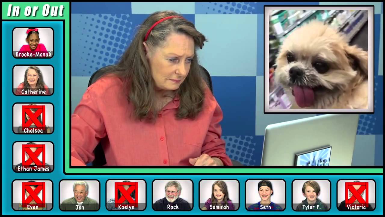 REACT - Try to Watch This Without Laughing or Grinning REACT REACT ...