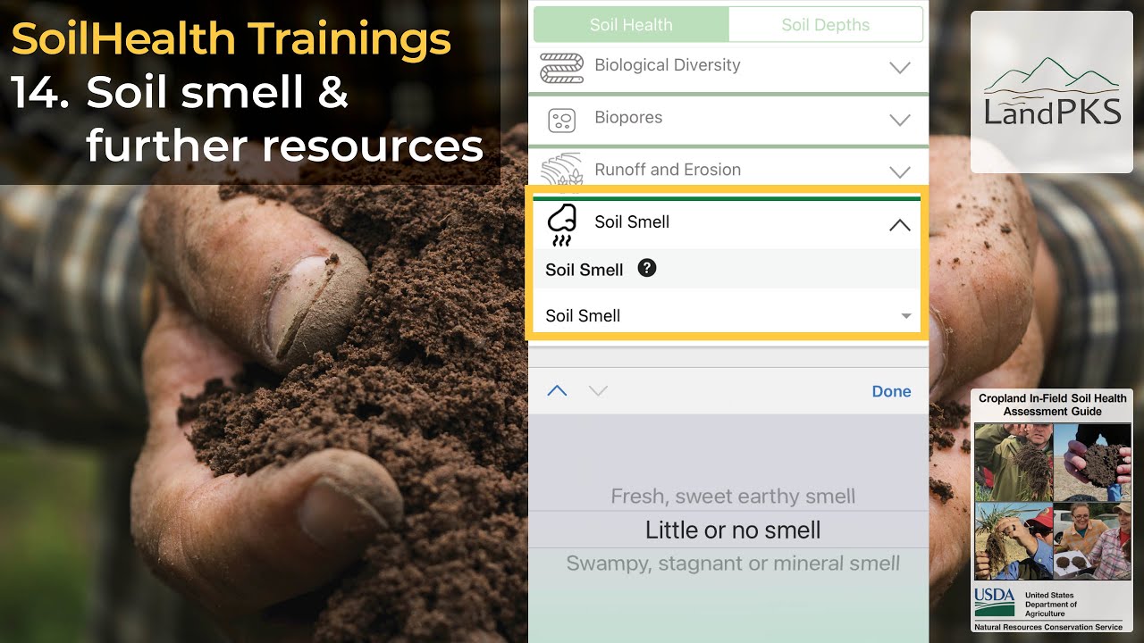 SoilHealth Trainings 14: Soil Smell & Further Resources - YouTube