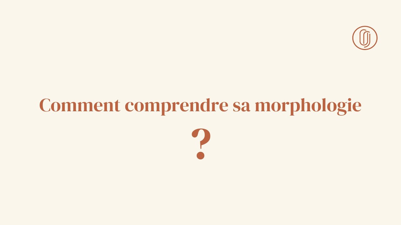 Guide des morphologies - YouTube