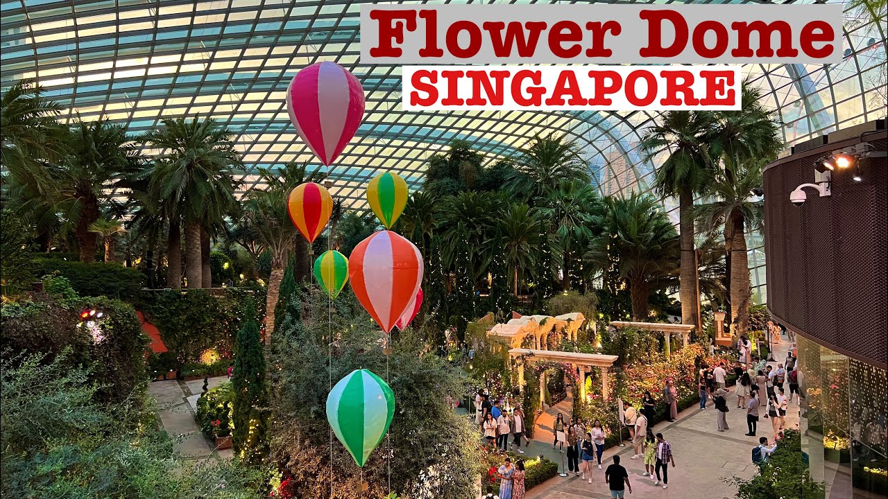 Flowers Dome Singapore 2024 | lovely and beautiful roses | Garden By The Way 🥰 - YouTube