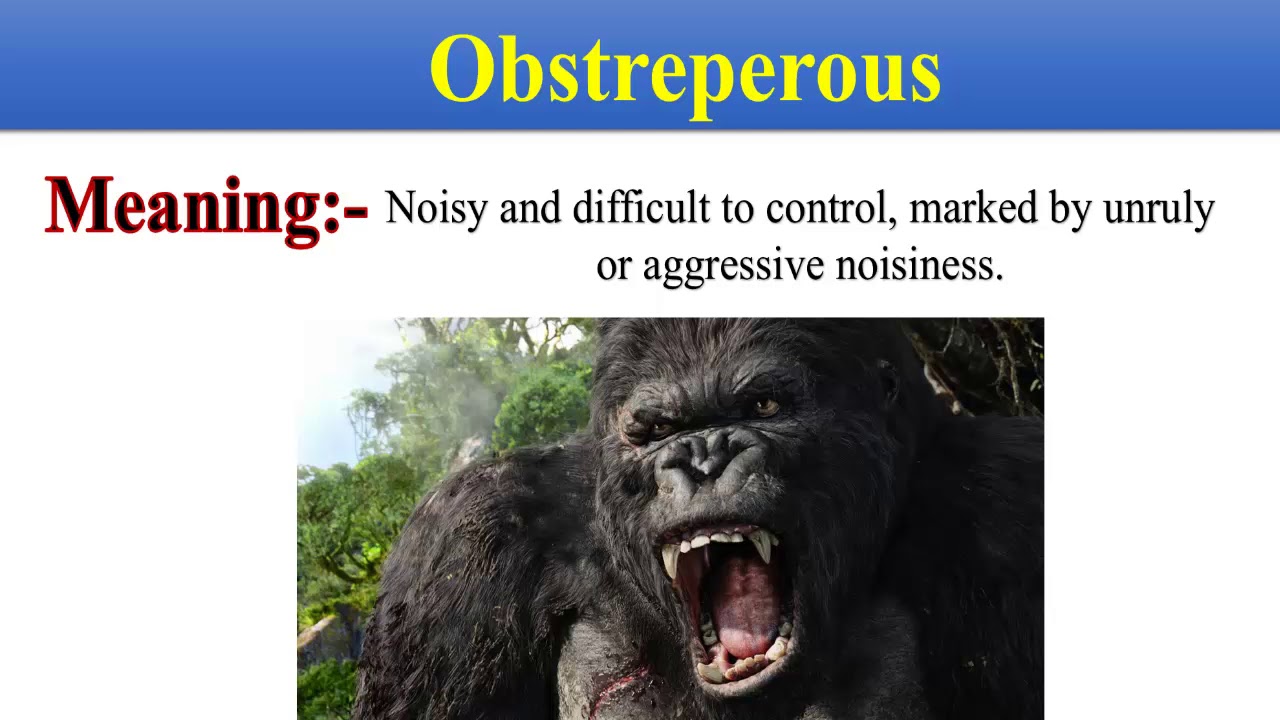 #Obstreperous-(Learn BCS English Vocabulary with Picture)☑ - YouTube