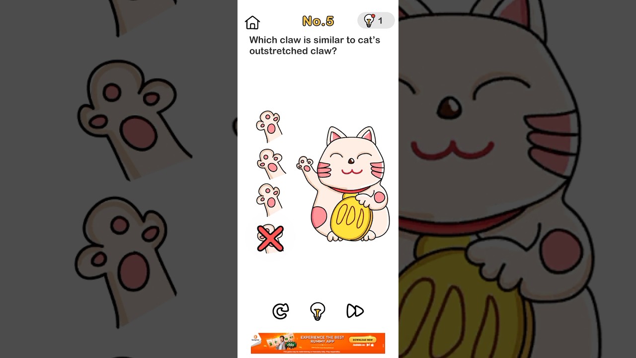 Which claw is similar to cat's ? #shorts #shortsfeed #viral - YouTube