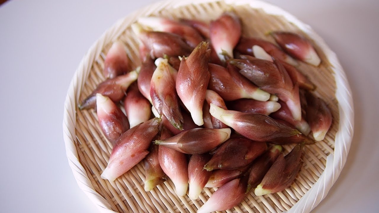 Japanese Ginger Myoga Sushi - YouTube