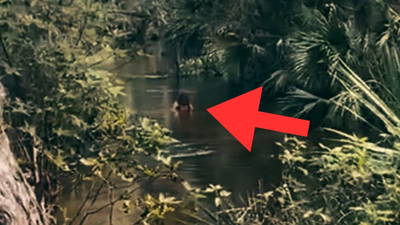 LAST FOOTAGE OF PAOLA MIRANDA-ROSA (Mini Documentary) - YouTube