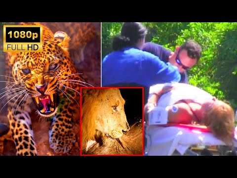 Animals Attack Human - Part 1 - YouTube