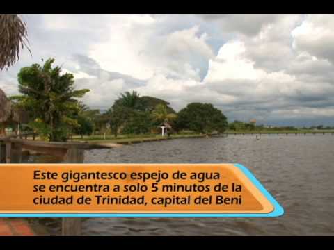 LAGUNA SUAREZ - YouTube