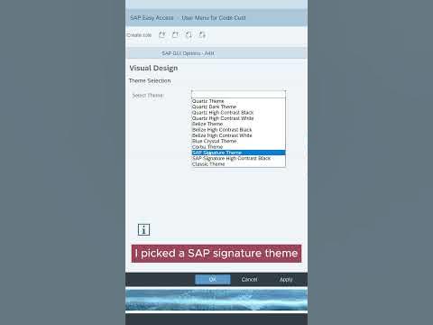 SAP GUI change theme #sap #gui #theme - YouTube