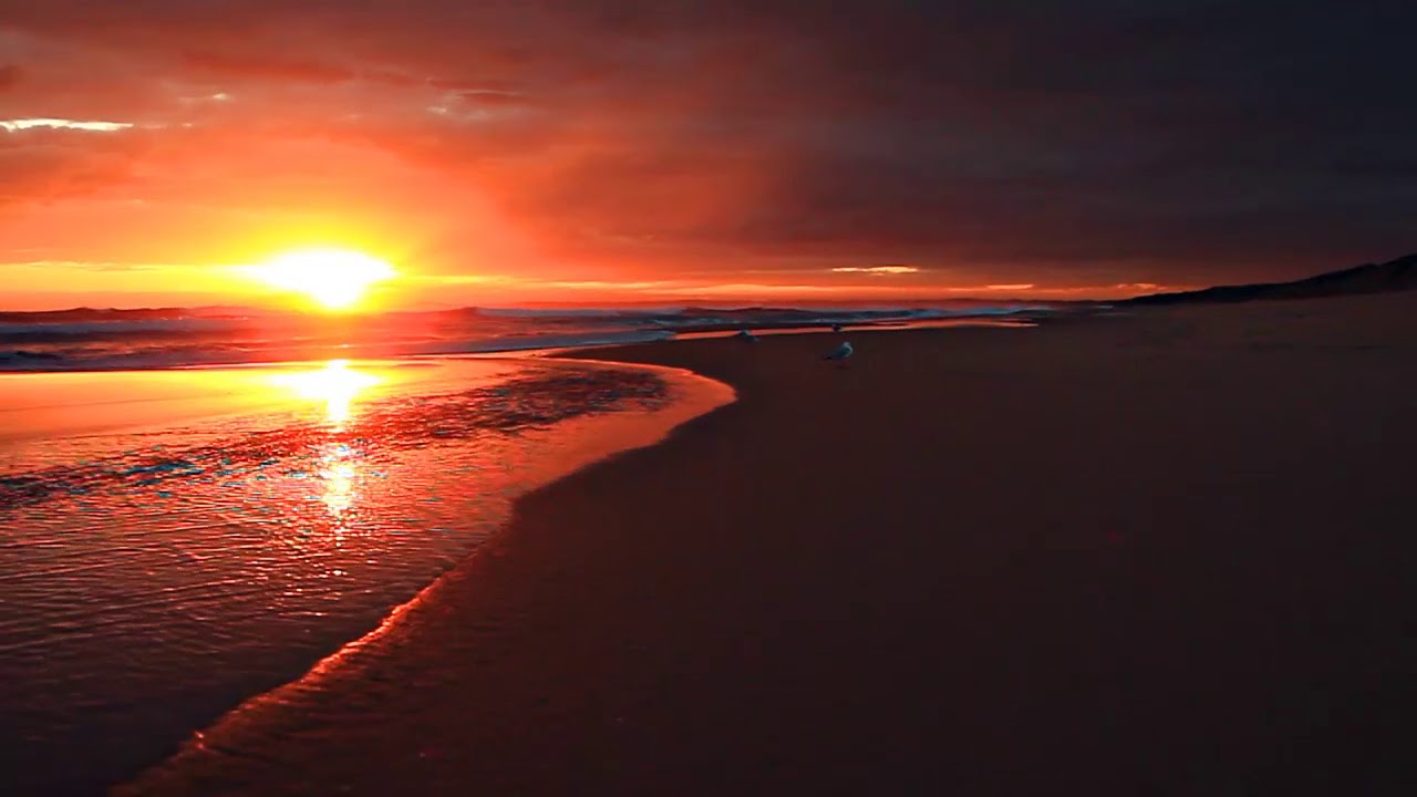 Sunset on the beach - Download Stock Footage - YouTube