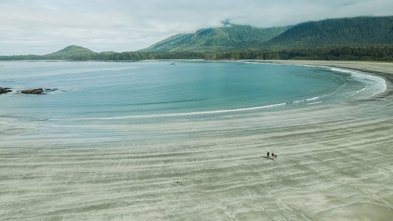 Welcome to Long Beach Nature Tours (Long Version) - YouTube