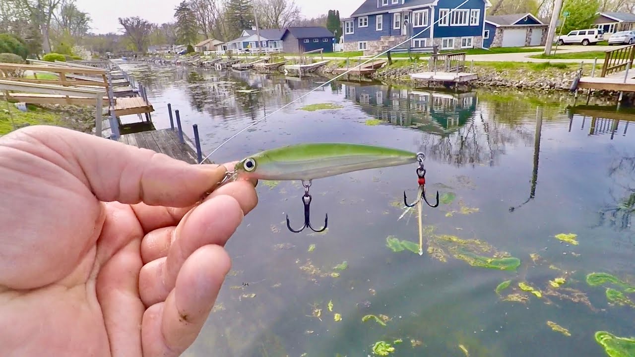 This Bait EQUALS Fish! - YouTube