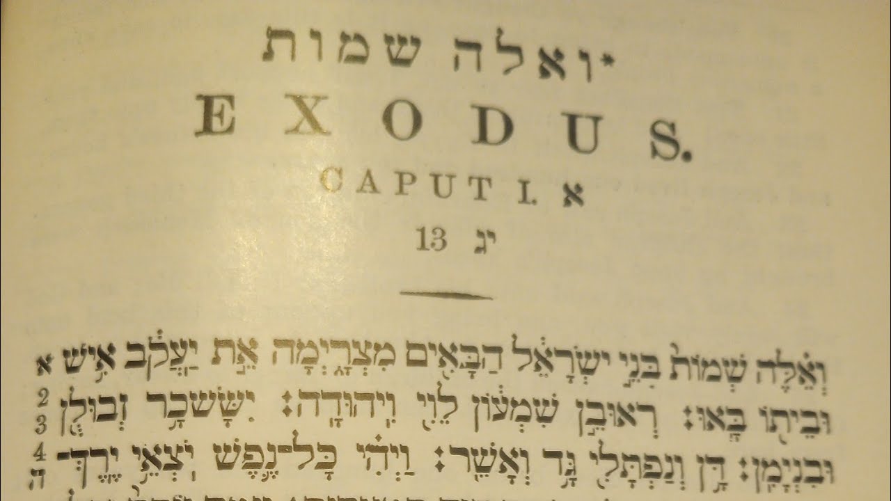 Torah Exodus Chapter 35 Verses 1 - 20 - YouTube