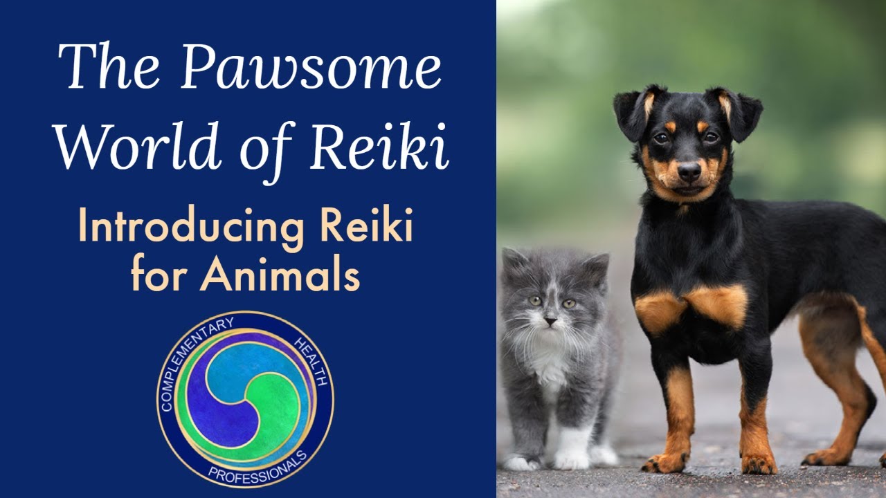 The Pawsome World of Reiki - Reiki for Animals - YouTube