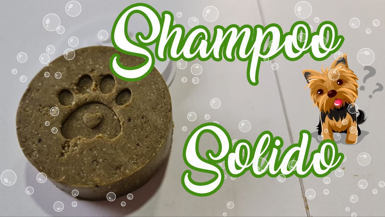 Como hacer Shampoo Sólido para Perros con muchos beneficios - YouTube