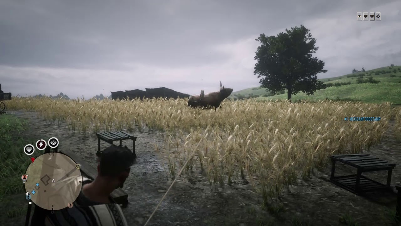 OX SLAUGHTER - Red dead Redemption 2 - YouTube