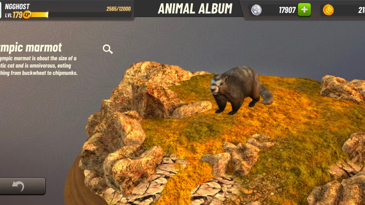 Hunting Clash-- New species Olympic Marmot in Washington @ngghost3681 ...