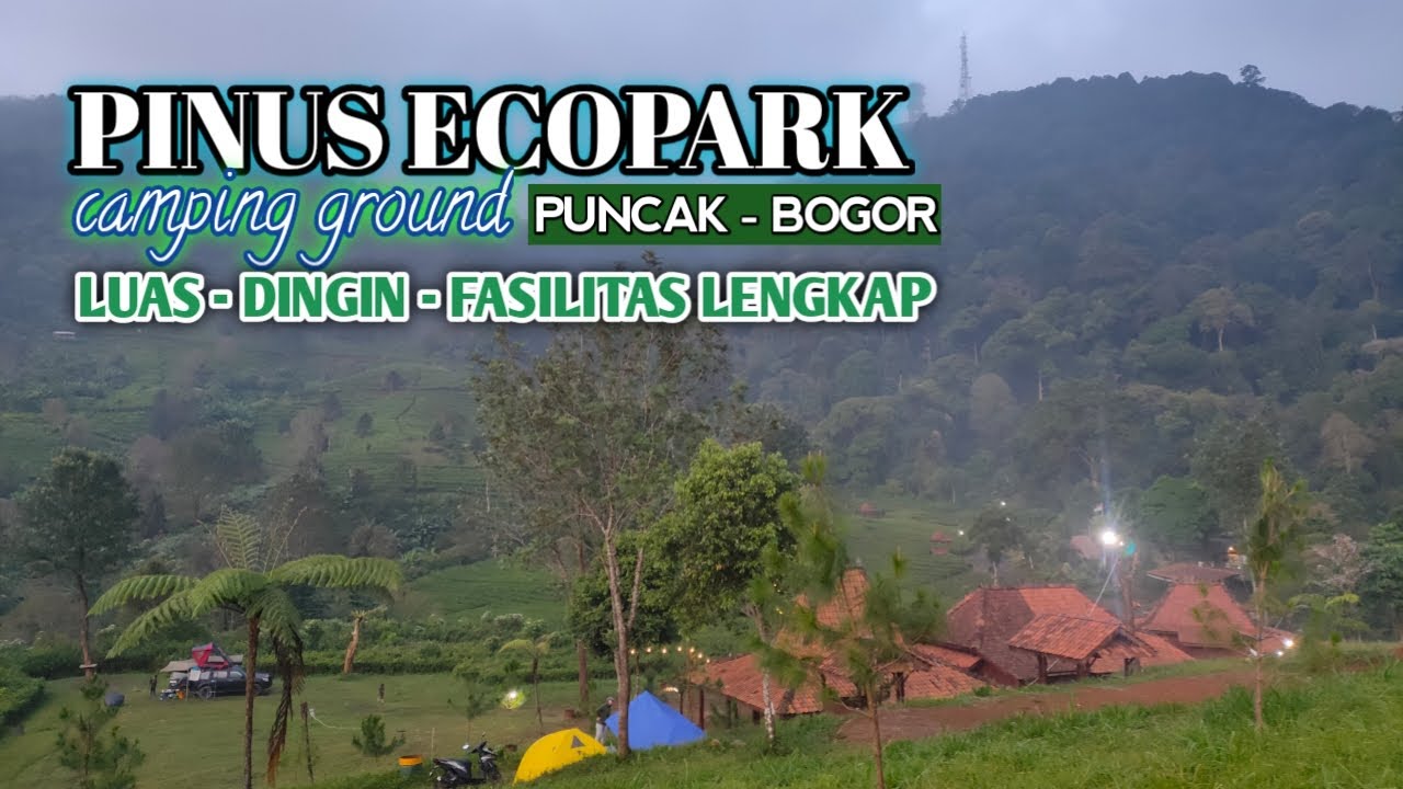 PINUS ECOPARK CAMPING GROUND | SENSASI NGECAMP DI HAMPARAN KEBUN TEH ...