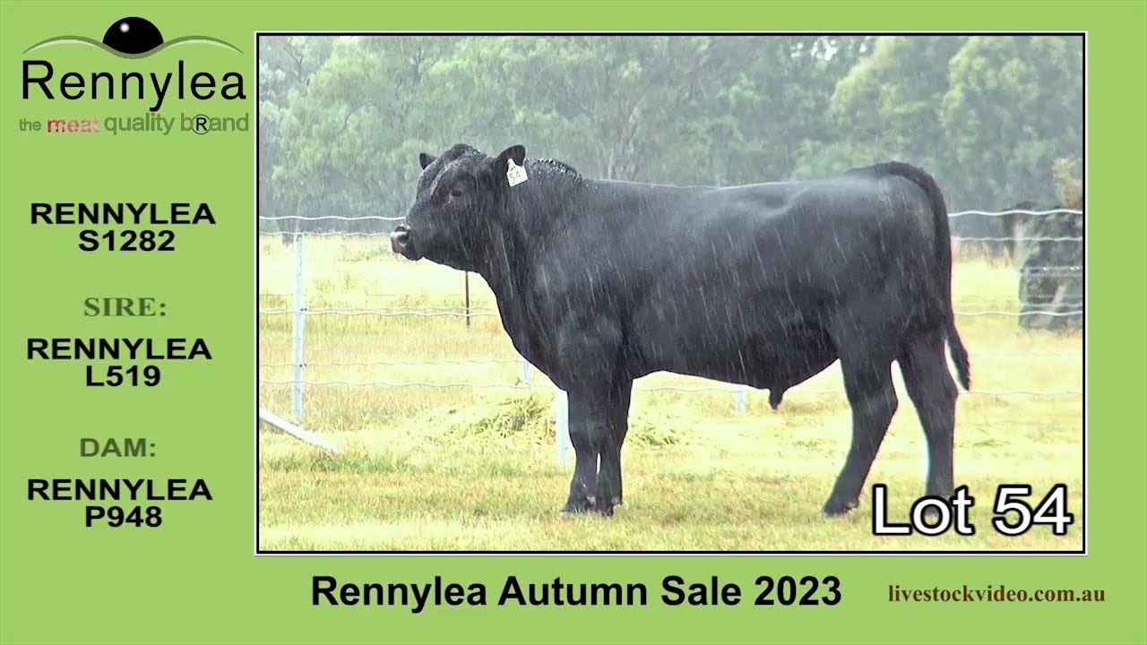 Lot 54 Rennylea March 2023 - YouTube