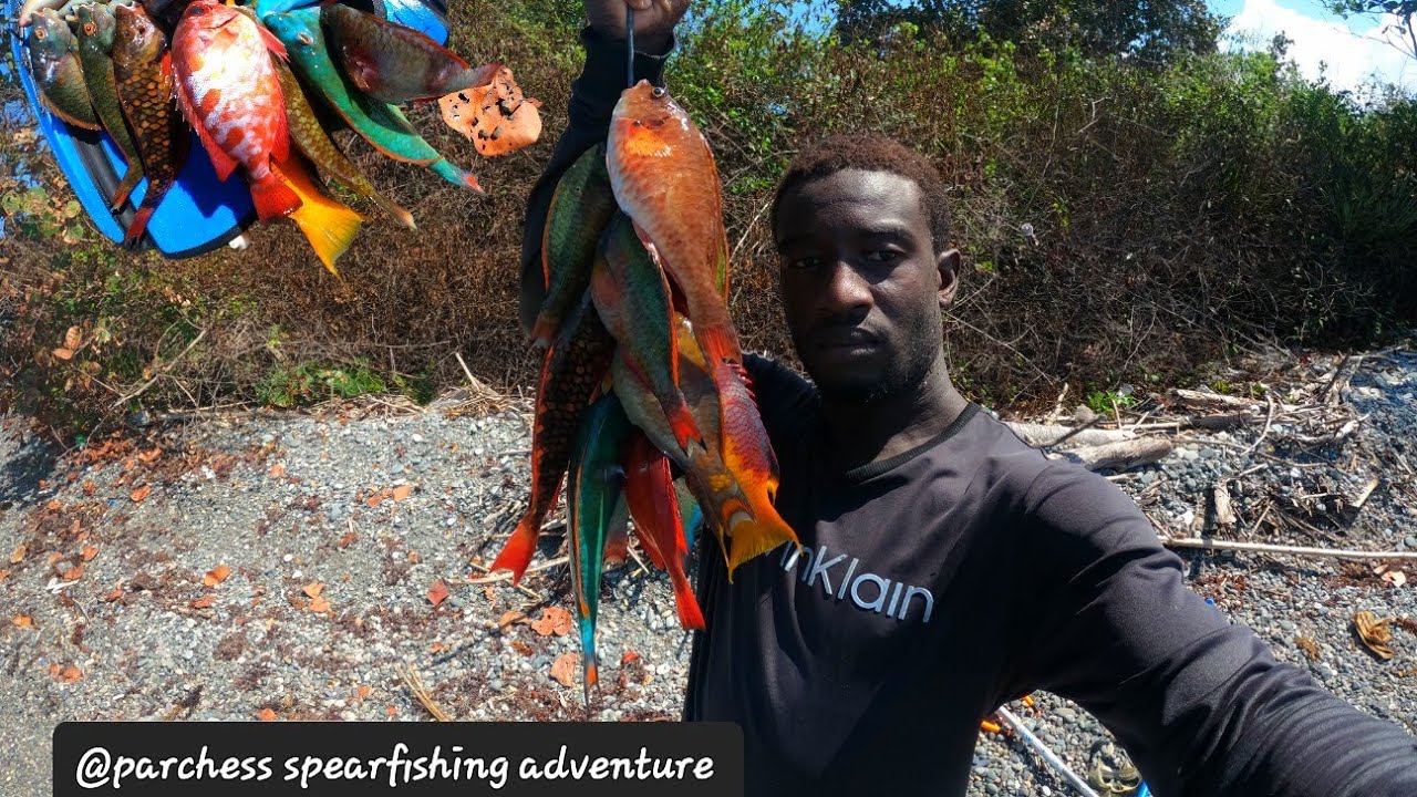 my first time back at sea and this happened| good catch| thank you fada ...