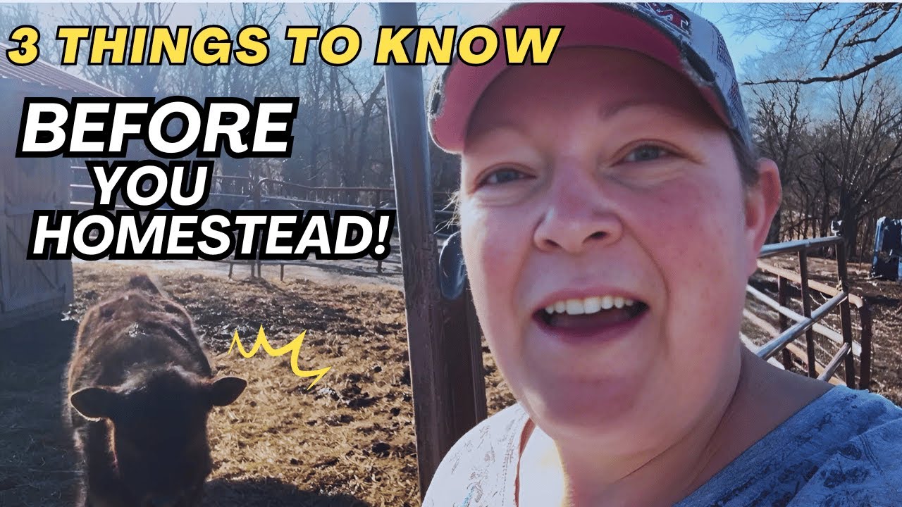 3 Things I Wish I Knew Before Starting My Homestead | Response to ...
