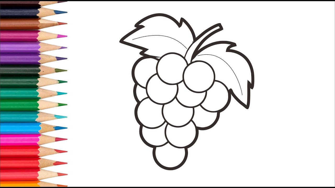Grape Drawing and Coloring for Kids - menggambar buah anggur - artwin ...