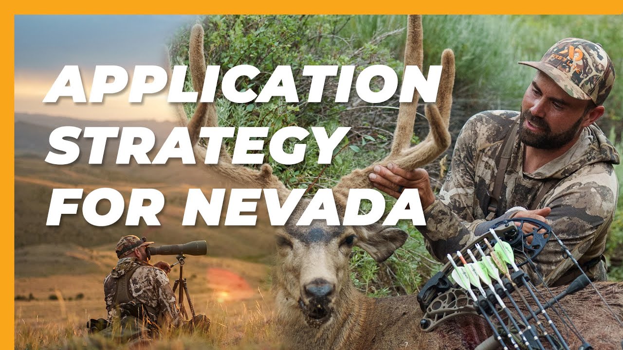 My Tag Application Strategy for Nevada - YouTube
