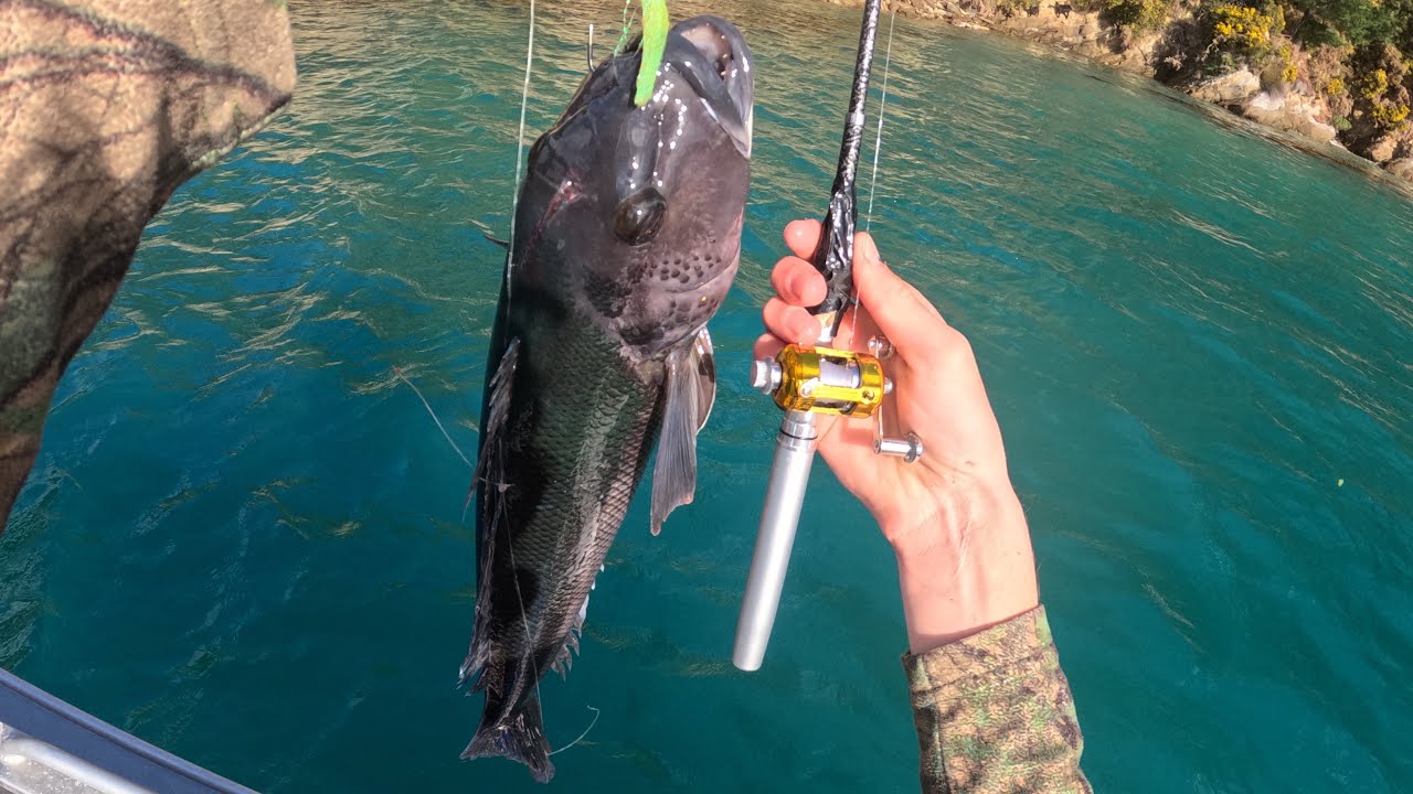 WORLDS SMALLEST FISHING ROD!!! (Massive fish caught!!) (pen rod) - YouTube