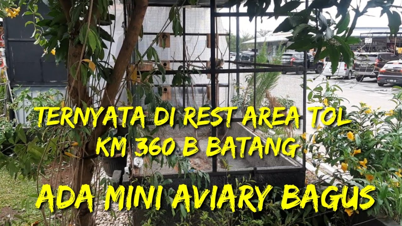 ternyata di rest area tol km 360 b Batang ada aviary mini yang bagus ...