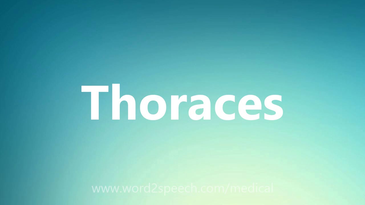 Thoraces - Medical Meaning and Pronunciation - YouTube